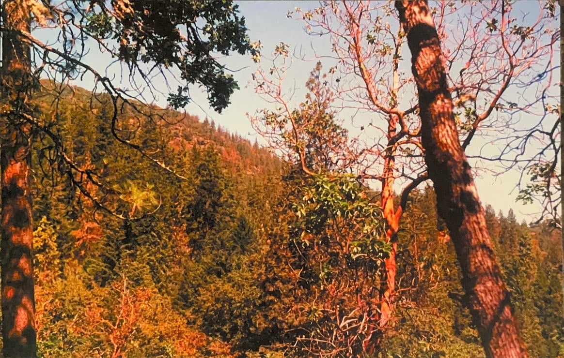 Episode 100 - HAPPY 100!!!!!!!!!!!!!! - Small Town Truckin' Tunes — BFF.fm