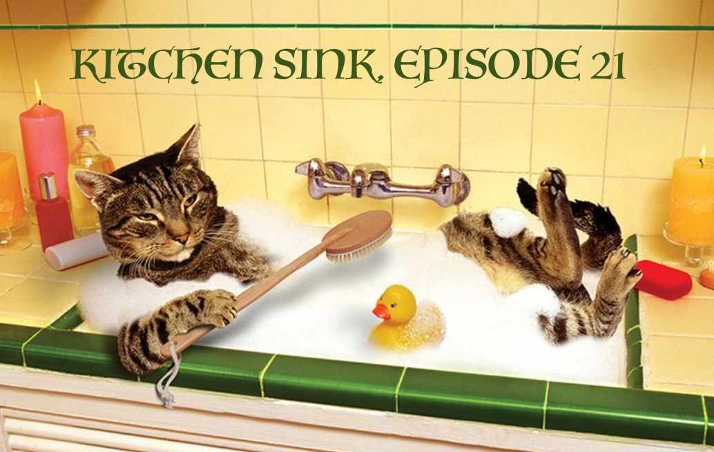 Episode 21 - Kitchen Sink — BFF.fm